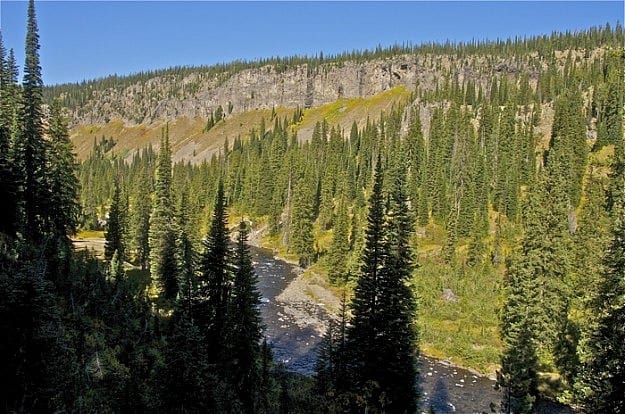 Yellowstone Belcher River Guided Hikes with Big Wild Adventures