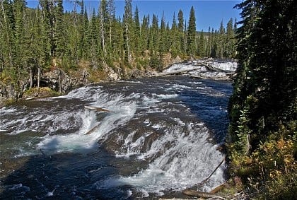 Yellowstone Belcher River Guided Hikes with Big Wild Adventures