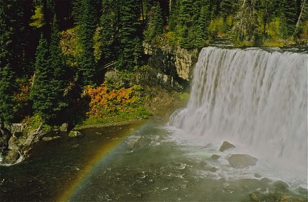 Yellowstone Belcher River Guided Hikes with Big Wild Adventures