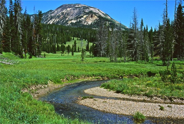 Late Summer Southern Yellowstone Backpacking Trip
