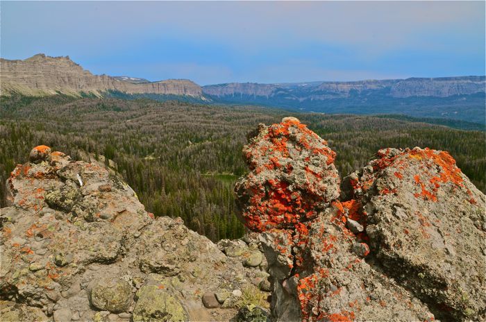 Absaroka Mountains Hiking Tours - Guided Trekking Backpacking