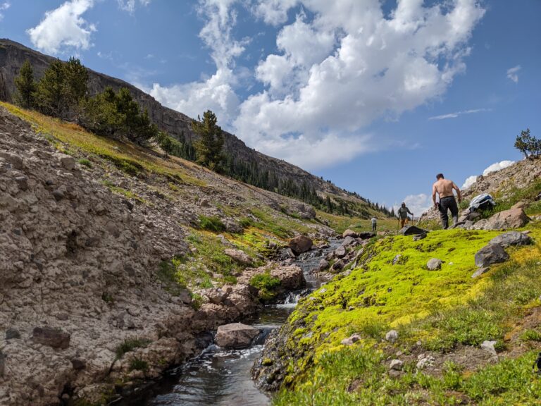 Absaroka Mountains Hiking Tours - Guided Trekking Backpacking