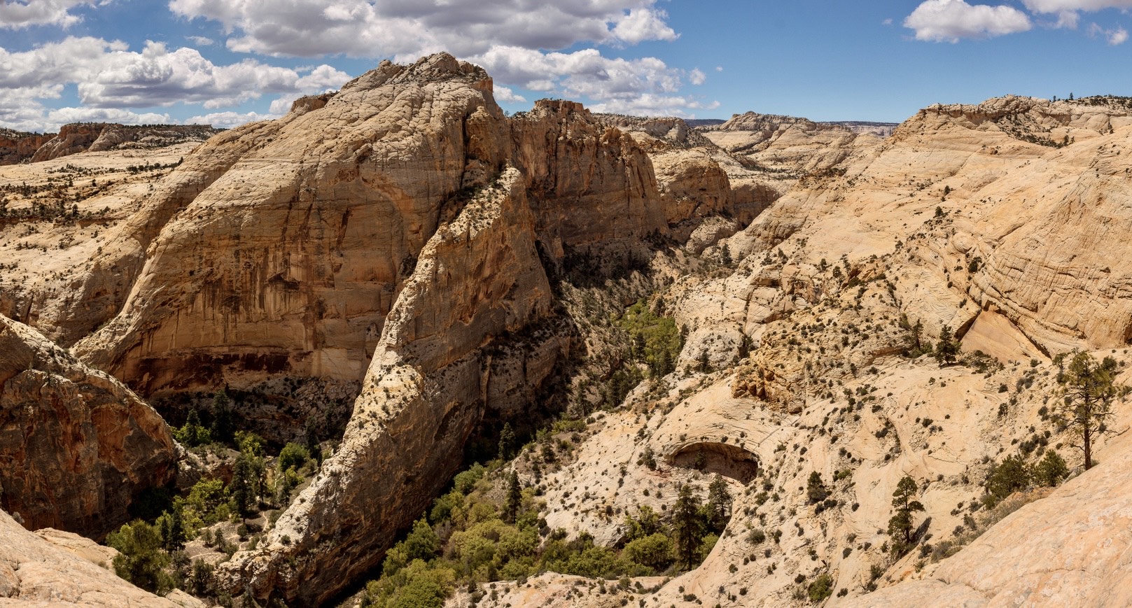 Backpacking in Utah 's Escalante Canyons